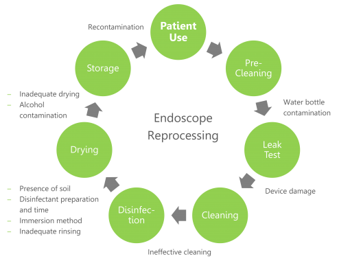 Endoscopy Cleaning Protocol - Gray's Endoscopy